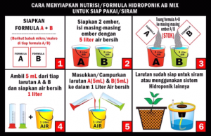 Pupuk Hidroponik AB Mix - BibitBunga.com