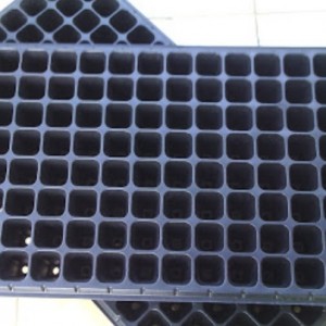 Jual Tray Semai 105 Lubang - BibitBunga.com