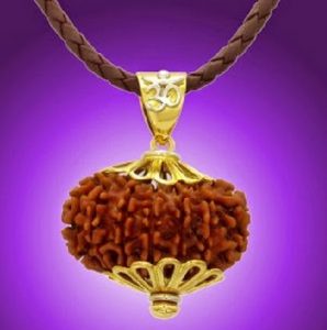 Khasiat dan Manfaat Buah dan Biji Genitri - BibitBunga.com