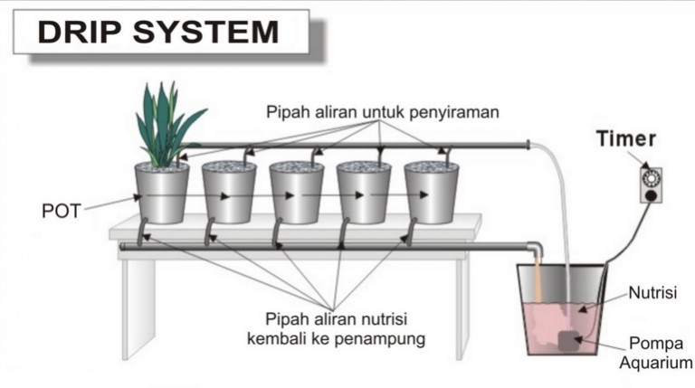Pemanfaatan Metode Hidroponik Pada Semua Jenis Tanaman