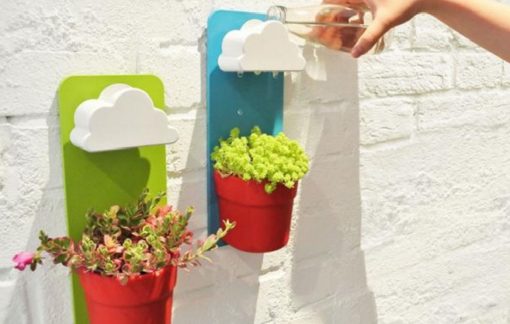 Cara Membuat Tanaman Hias Mini Indoor dan Outdoor