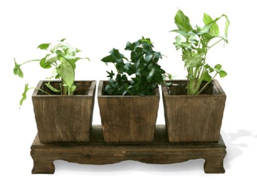 Jenis Pot Bunga & Tanaman Serta Kelebihan dan Kekurangannnya