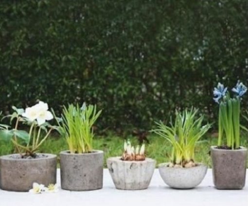 Jenis Pot Bunga & Tanaman Serta Kelebihan dan Kekurangannnya