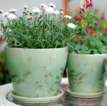 Jenis Pot Bunga & Tanaman Serta Kelebihan dan Kekurangannnya