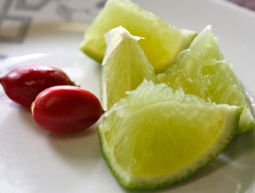 Mengenal Buah Ajaib Miracle Fruit - BibitBunga.com