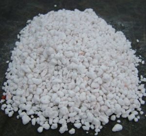 Cara Menanam Hidroponik dan Contohnya - BibitBunga.com