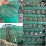 Jual Insect Net Hijau Harga Murah - BibitBunga.com