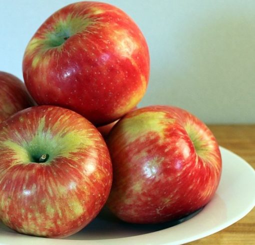 Manfaat Apel untuk Kesehatan dan Diet - BibitBunga.com