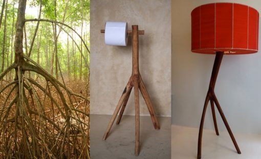 Manfaat Pohon Bakau Yang Luar Biasa - BibitBunga.com