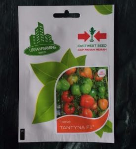 Jual Benih Tomat Tantyna F1 60 biji - Panah Merah - BibitBunga.com