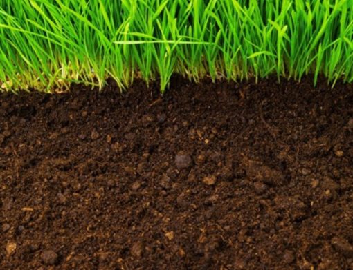 Jenis-Jenis Tanah dan Ciri-Cirinya - BibitBunga.com