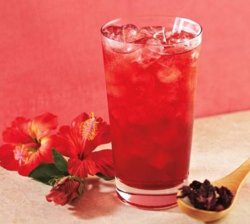 Arti, Makna dan Kegunaan Bunga Kembang Sepatu (Hibiscus) - BibitBunga.com Arti, Makna dan Kegunaan Bunga Kembang Sepatu (Hibiscus) - BibitBunga.com