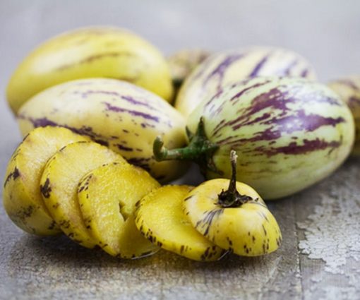 Pepino, Buah Ajaib yang Kaya akan Manfaat - BibitBunga.com