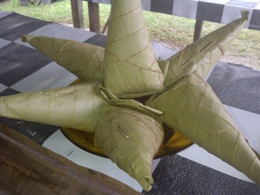 Manfaat Tanaman Simpur Untuk Kesehatan - BibitBunga.com