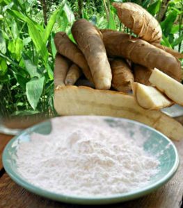 Kandungan Gizi & Khasiat Pada Umbi Garut Yang Kaya Manfaat, Begini Cara Pengolahannya | AnekaUKM