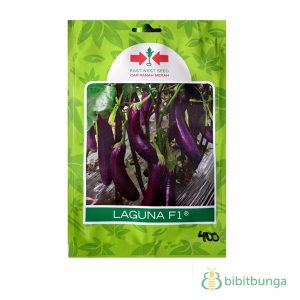 Jual Benih Terong Ungu Laguna F1 400 Biji – Panah Merah - BibitBunga.com