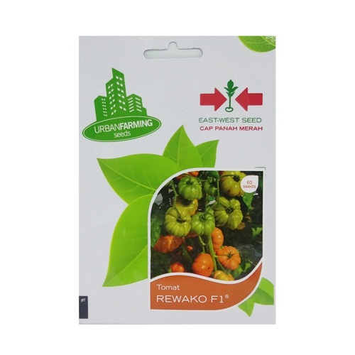 Jual Benih Tomat Rewako F1 60 biji – Panah Merah - BibitBunga.com