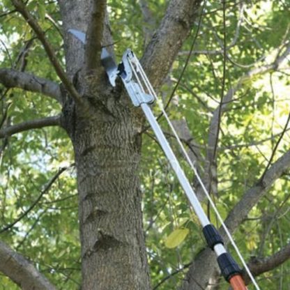 Jual Gergaji Dahan Pohon / Tree Pruner / Gunting Galah / Gunting Tarik - Drexel - BibitBunga.com