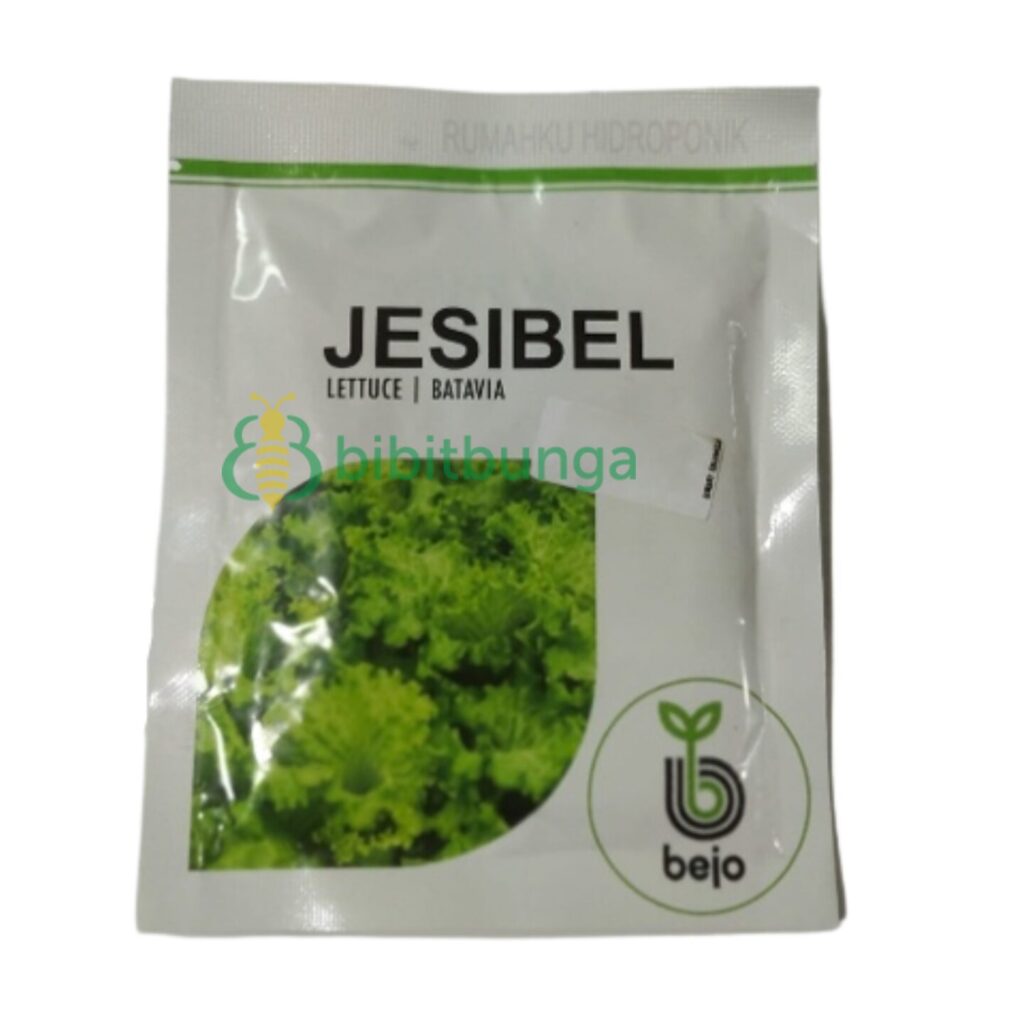 Jual Benih Bejo Bibit Selada JESIBEL Pack 1000 Biji Pills Hidroponik ...