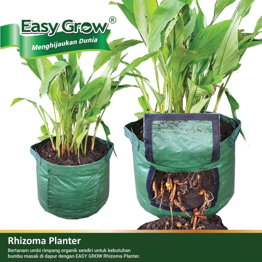 Jual Rhizoma Planter Bag Size Kecil Pot Polybag Tanaman Rimpang Jahe ...