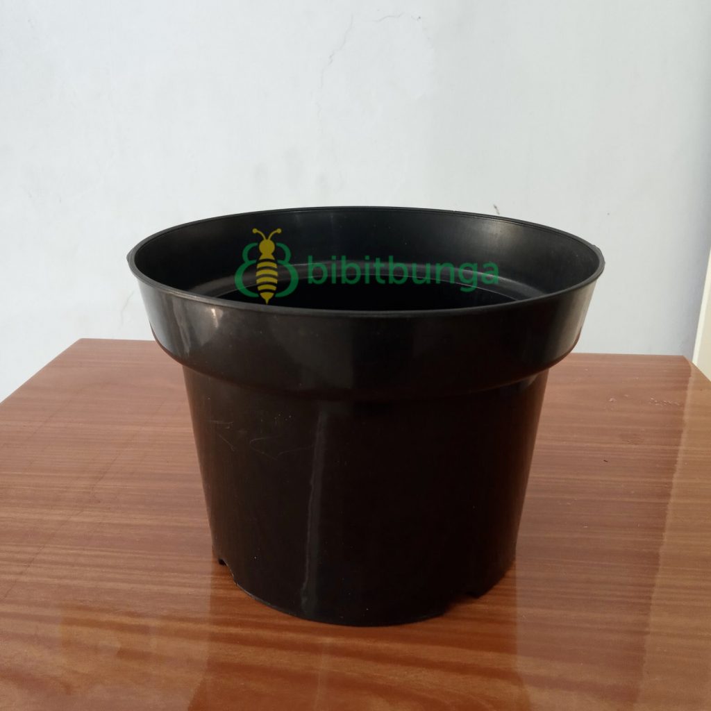 Jual Pot Kopeng Hitam 17 cm Polos Tanaman Hias Bunga Plastik Sedang ...