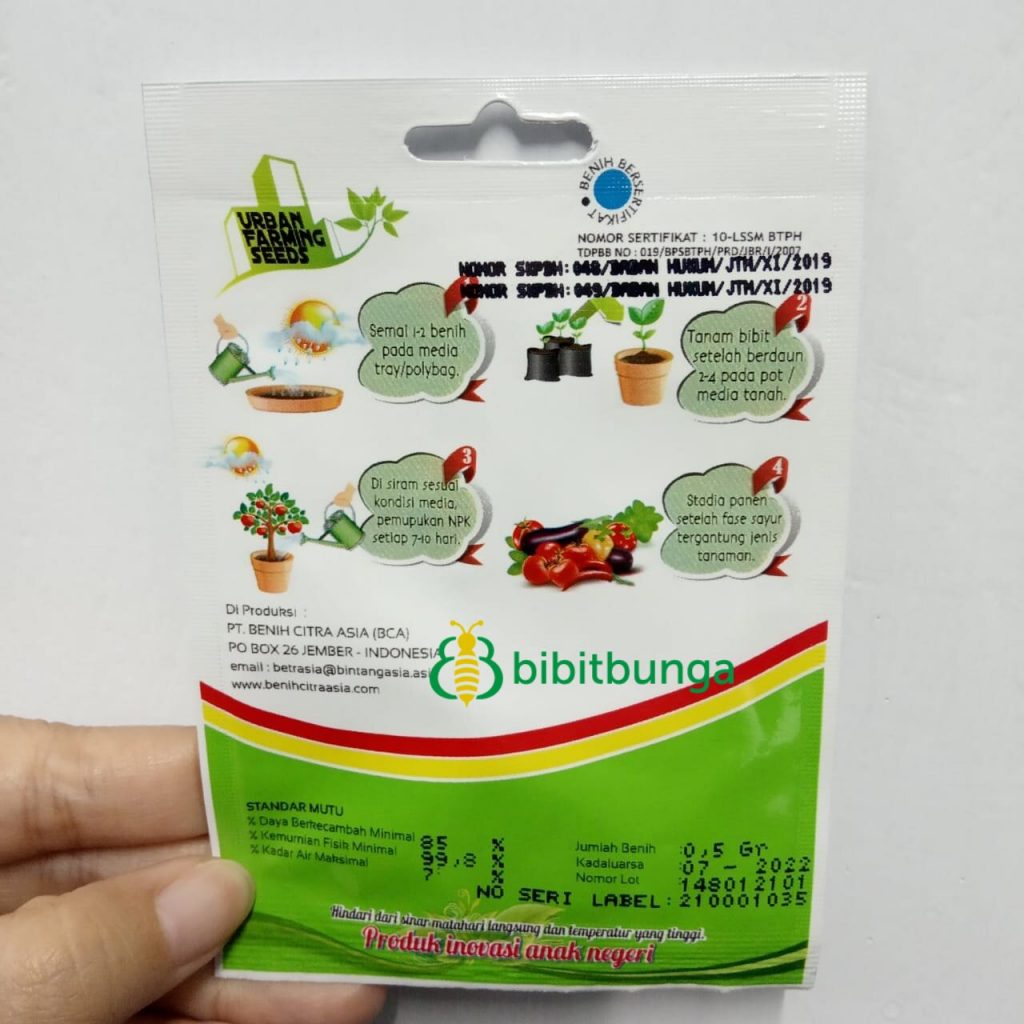 Jual Benih Bibit Biji Melon Madu Rock Okasa F1 Tanaman Buah Bintang ...