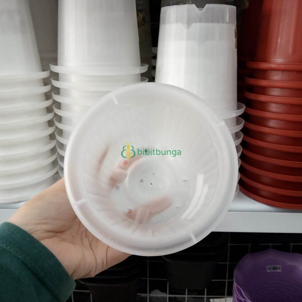 Jual Pot Plastik Yogap Bening 13 cm 13cm Unik Transparan Bunga Tanaman ...