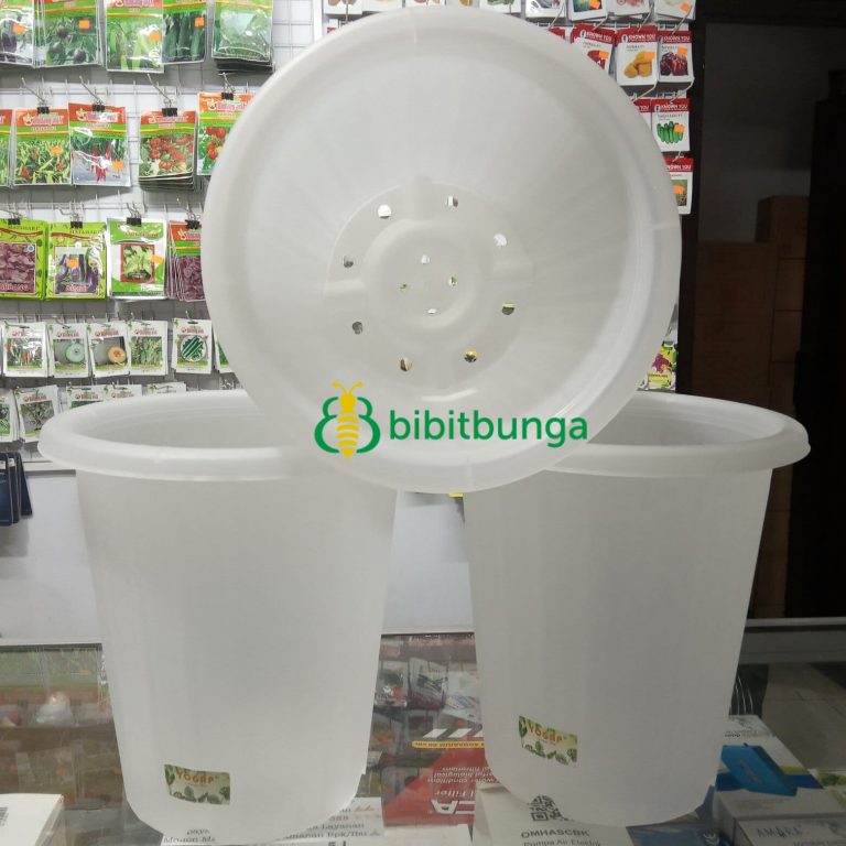 Jual Pot Plastik Yogap 25-27 cm Tinggi Bening Transparan Tanaman Hias ...