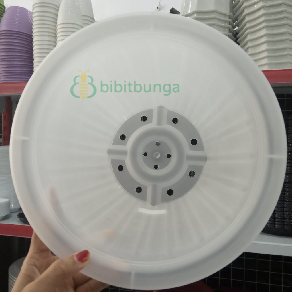 Jual Pot Plastik Yogap 25-27 cm Tinggi Bening Transparan Tanaman Hias ...