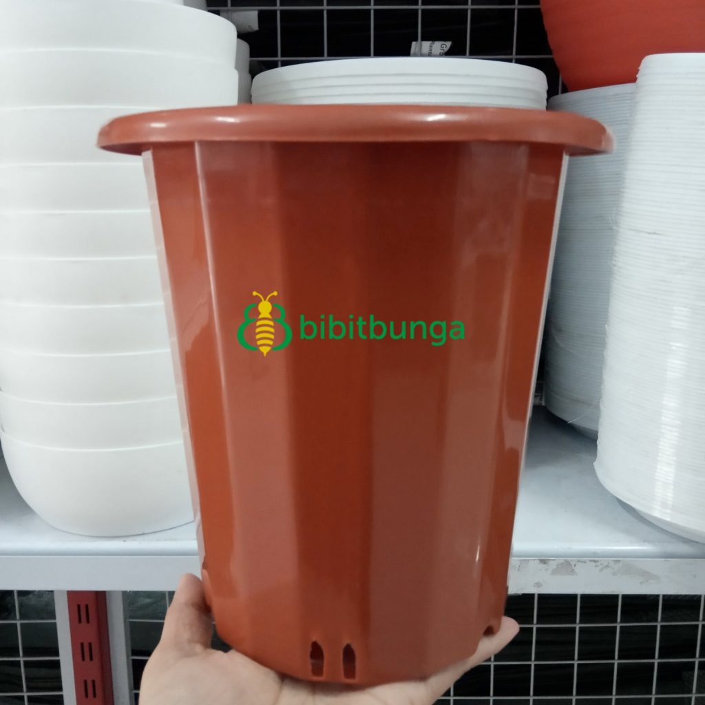 Jual Pot Bunga Tanaman Tinggi Stevia 18cm 18 cm Plastik Sedang Tirus ...