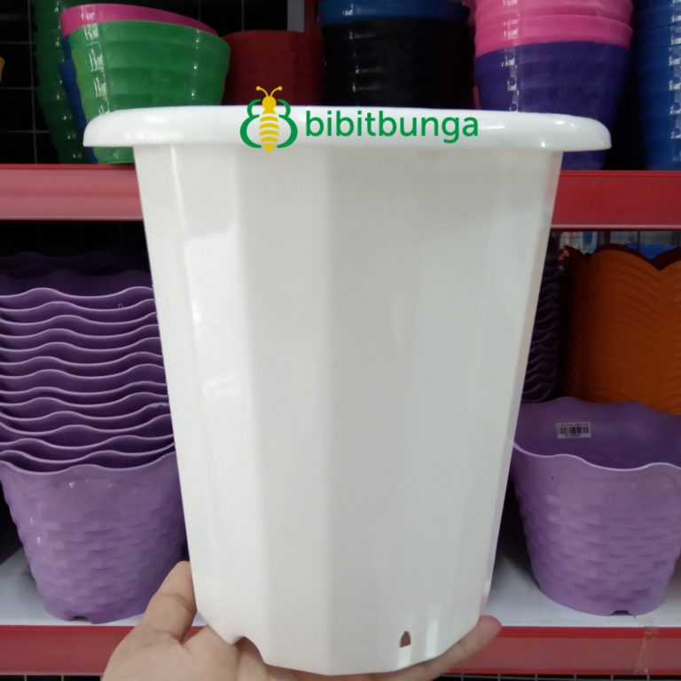 Jual Pot Bunga Tanaman Tinggi Stevia 18cm 18 cm Plastik Sedang Tirus ...