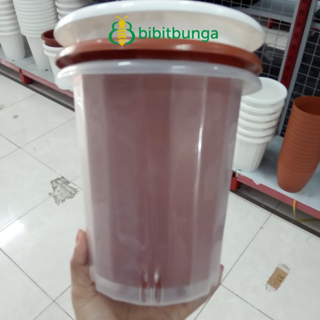 Jual Pot Bunga Tanaman Tinggi Stevia 18cm 18 cm Plastik Sedang Tirus ...
