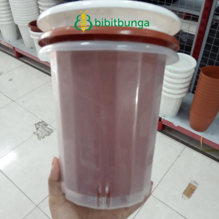 Jual Pot Bunga Tanaman Tinggi Stevia 18cm 18 cm Plastik Sedang Tirus ...