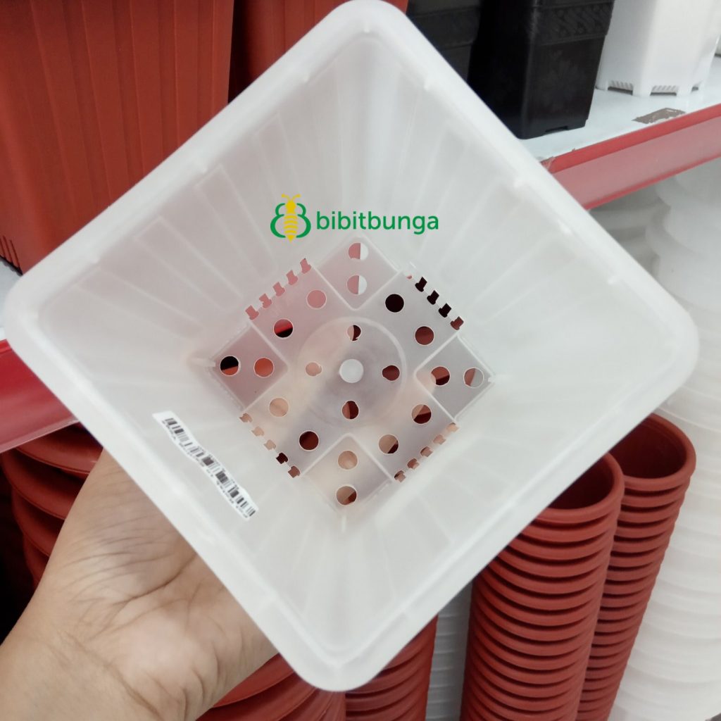 Jual Pot Bunga Tinggi Yogap Kotak 10 Bening Tanaman Hias Transparan ...