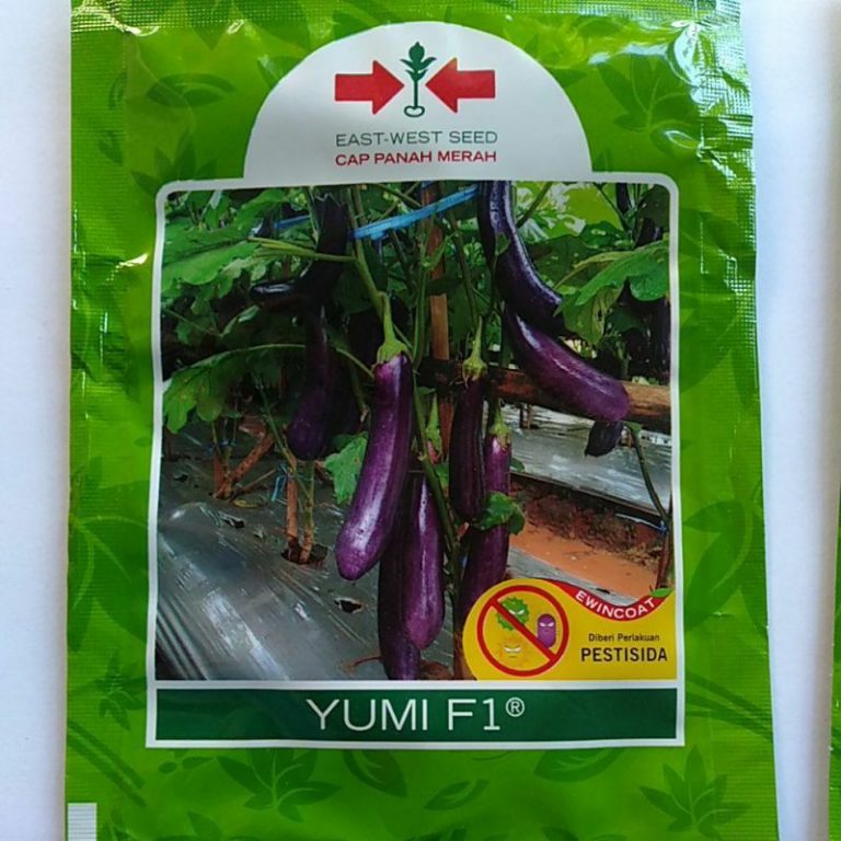 Jual Benih Bibit Terong Yumi F1 1.100 Biji Terung Ungu Cap Panah Merah 1100 - BibitBunga.com