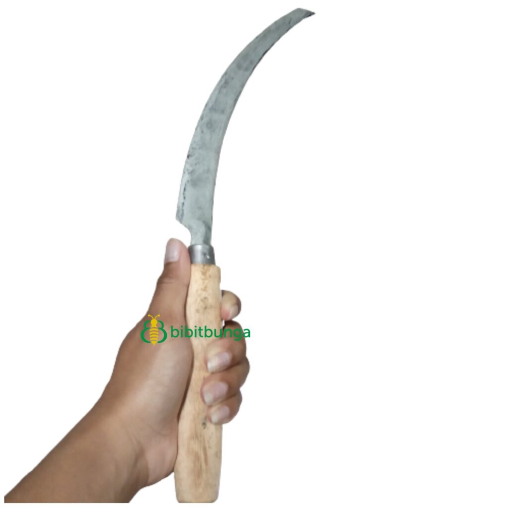 Jual Arit 2.5 x 33 cm Alat Potong Pemotong Padi Rumput Liar Gulma ...