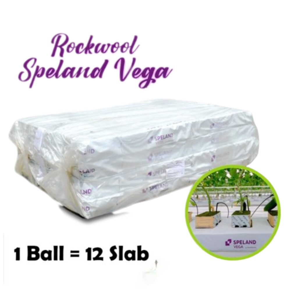 Jual Rockwool Hidroponik SPELAND VEGA 1 Ball 12 Slab Cultilene Media ...