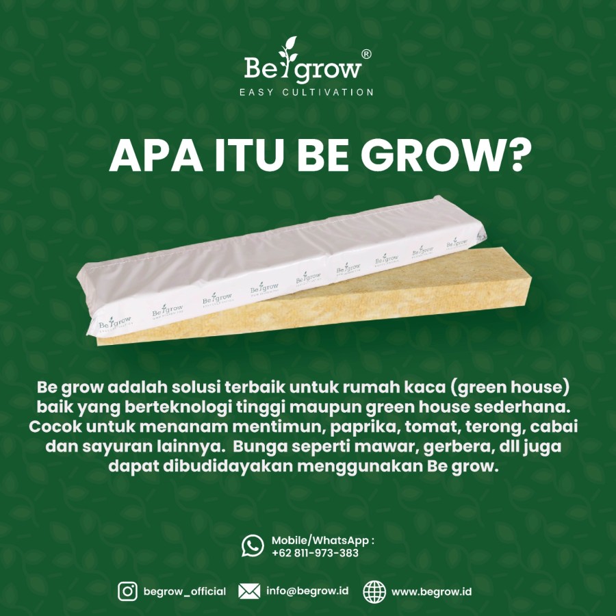 Jual Rockwool Be Grow 1/4 Slab 25x15x7.5 Media Tanam Hidroponik ...