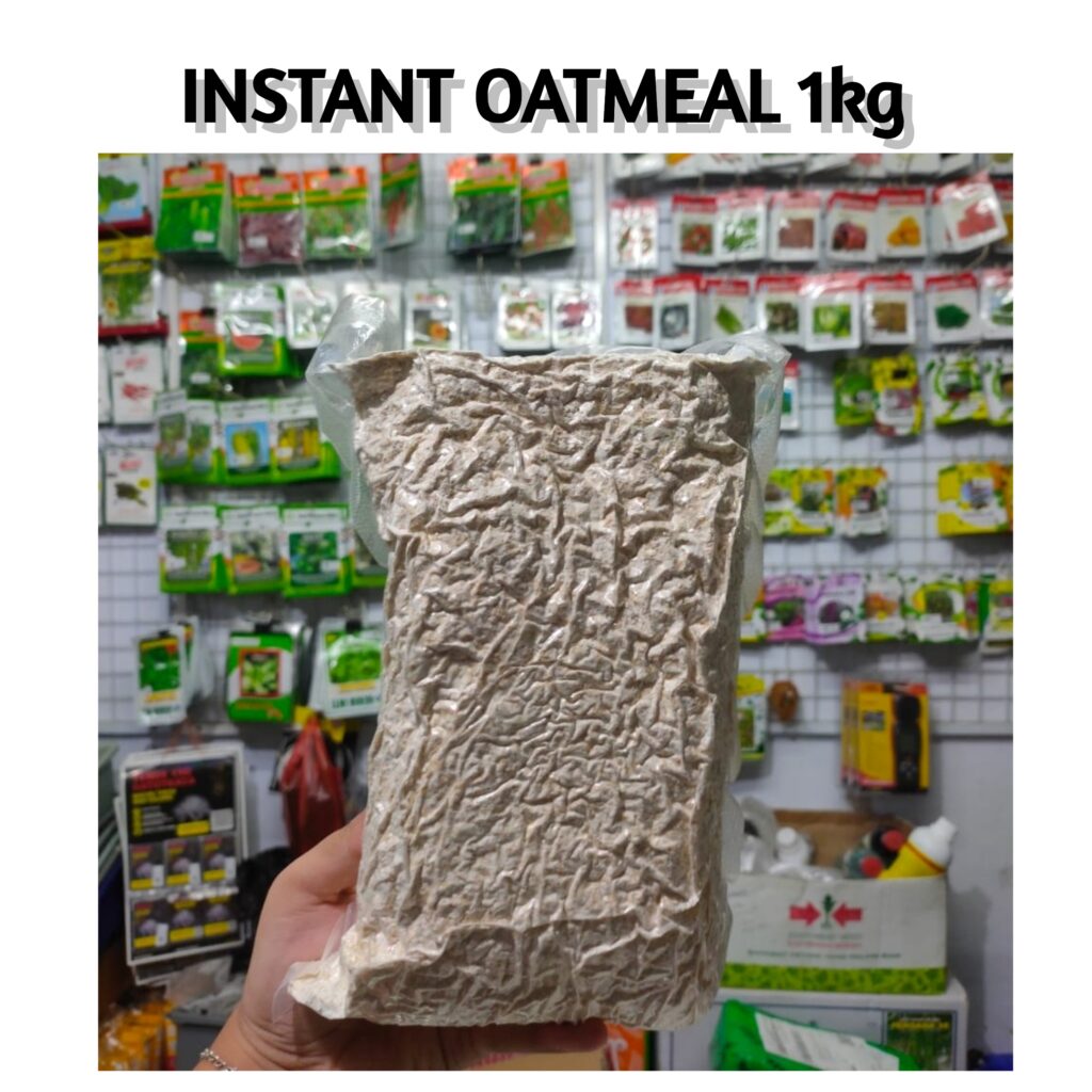 Jual Instant Oatmeal 1kg 1 kg Quick Oat Meal Oats Havermut Instan ...