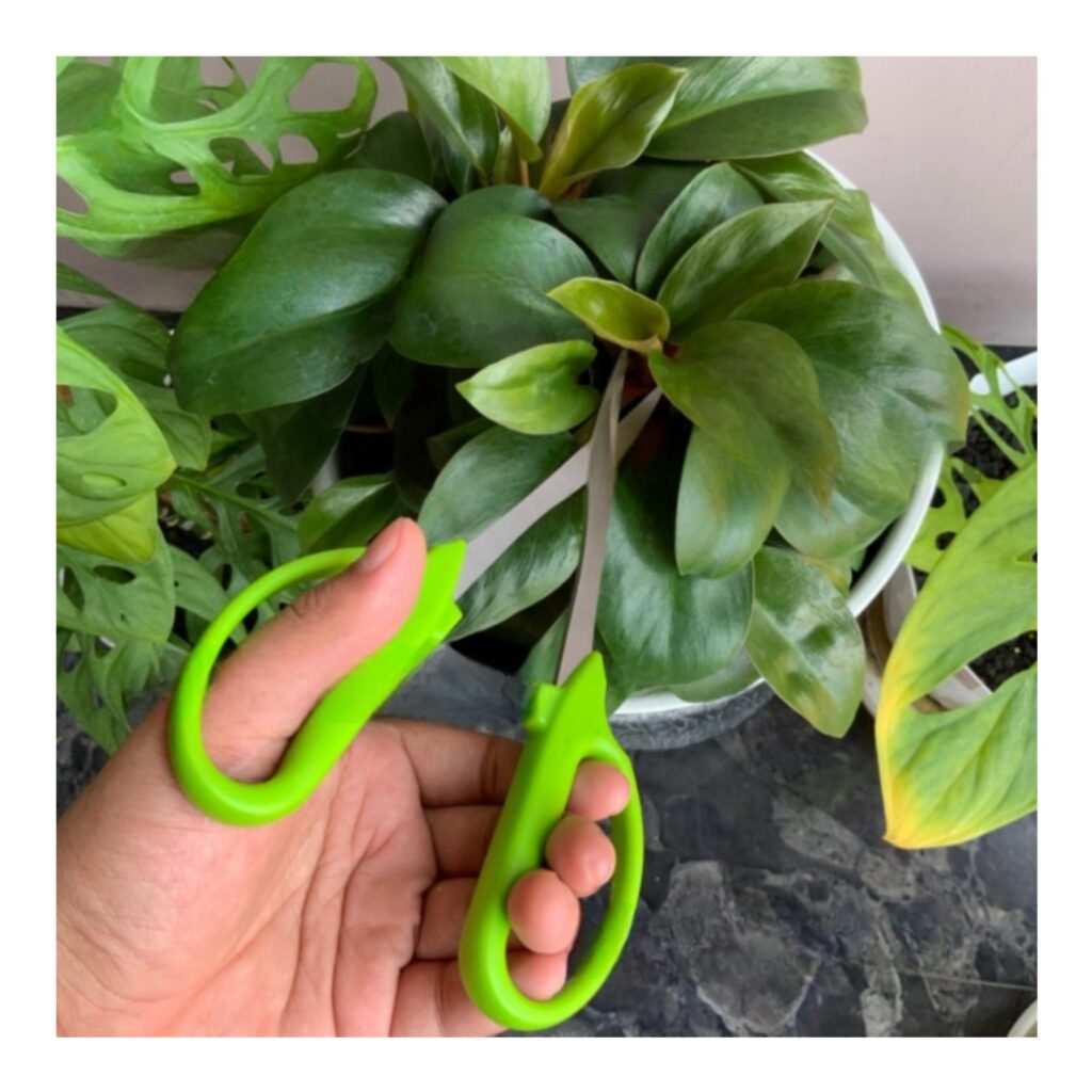 Jual Gunting Tajam Serbaguna Bonsai Pruning Daun Akar Ranting Dahan ...