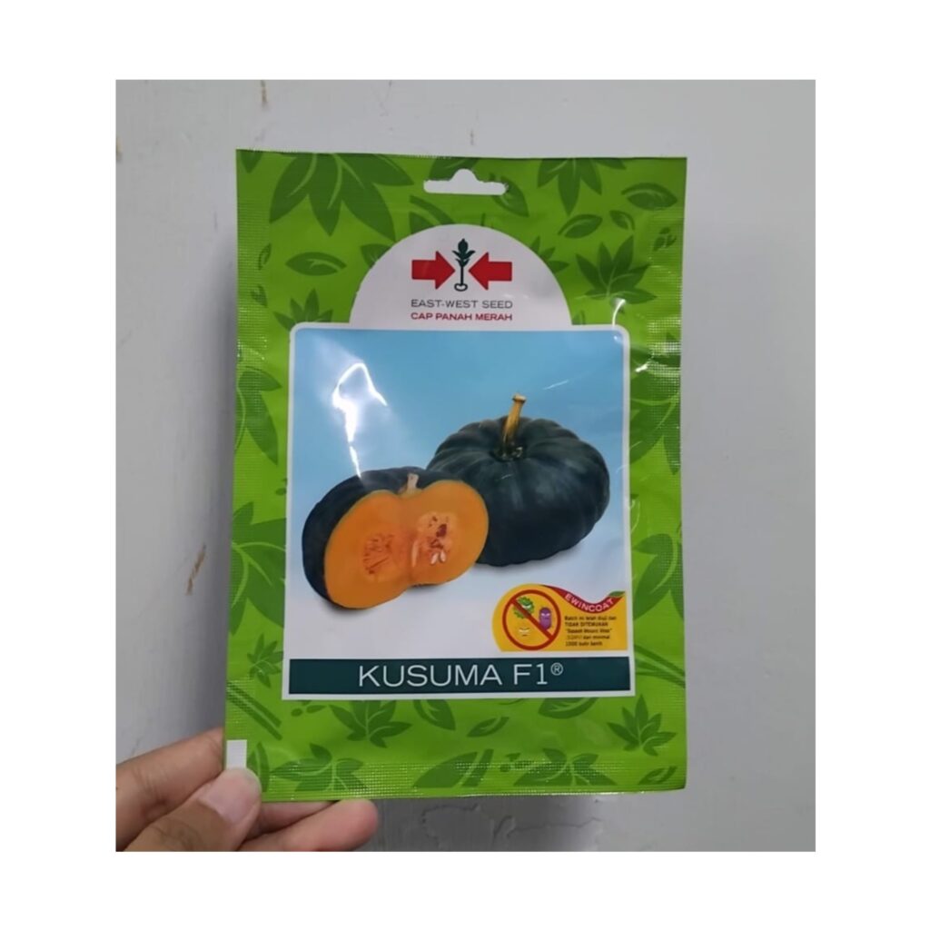 Jual Bibit Benih Labu Kusuma F1 40 Biji Labu Kuning Sayuran Cap Panah ...