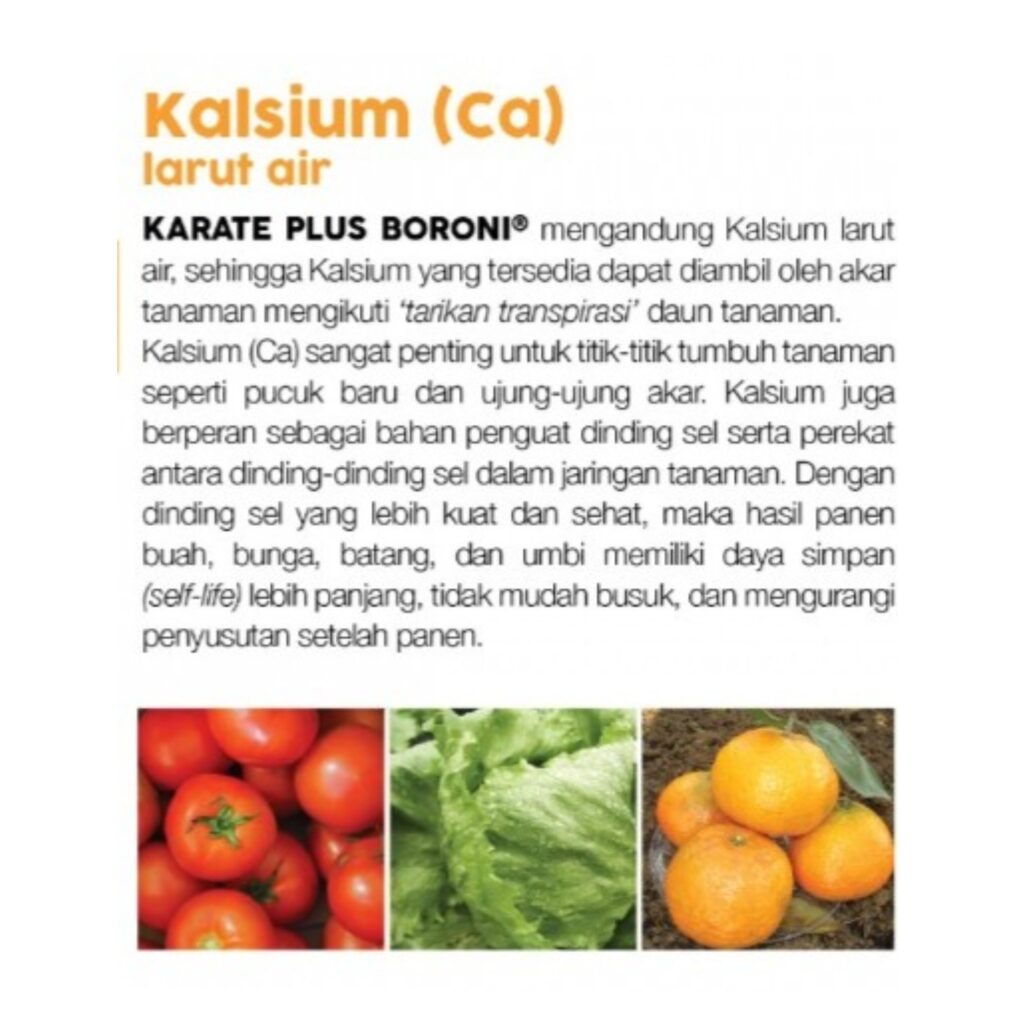 Jual Meroke Karate Plus Boroni 25kg Pupuk Kalsium Nitrat Boron Tanaman ...