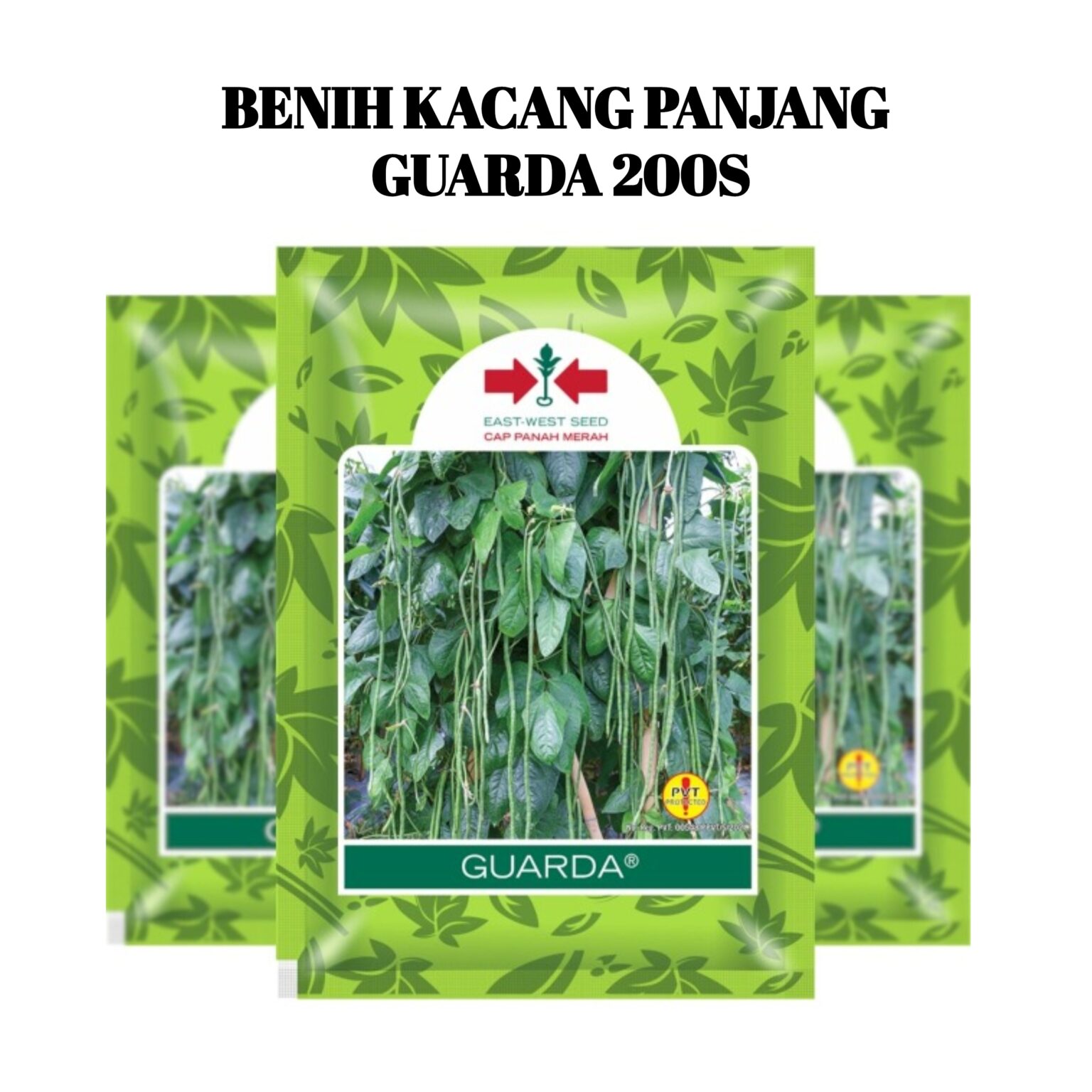 Jual Benih Bibit Kacang Panjang Guarda Cap Panah Merah Isi 200 Biji ...