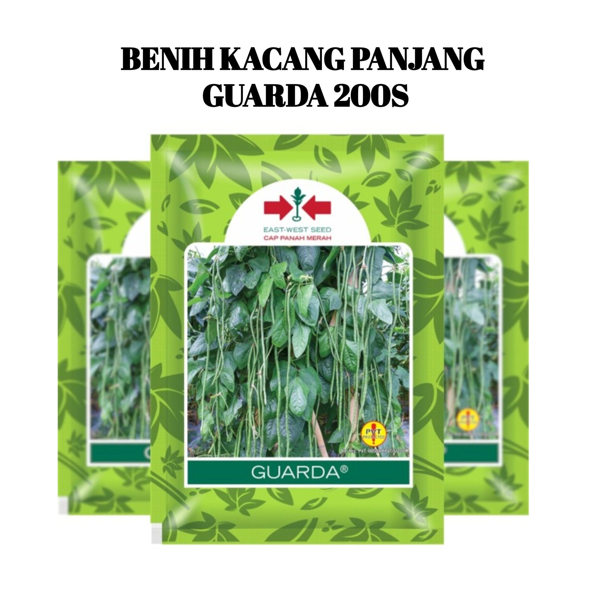 Jual Benih Bibit Kacang Panjang Guarda Cap Panah Merah Isi 200 Biji ...