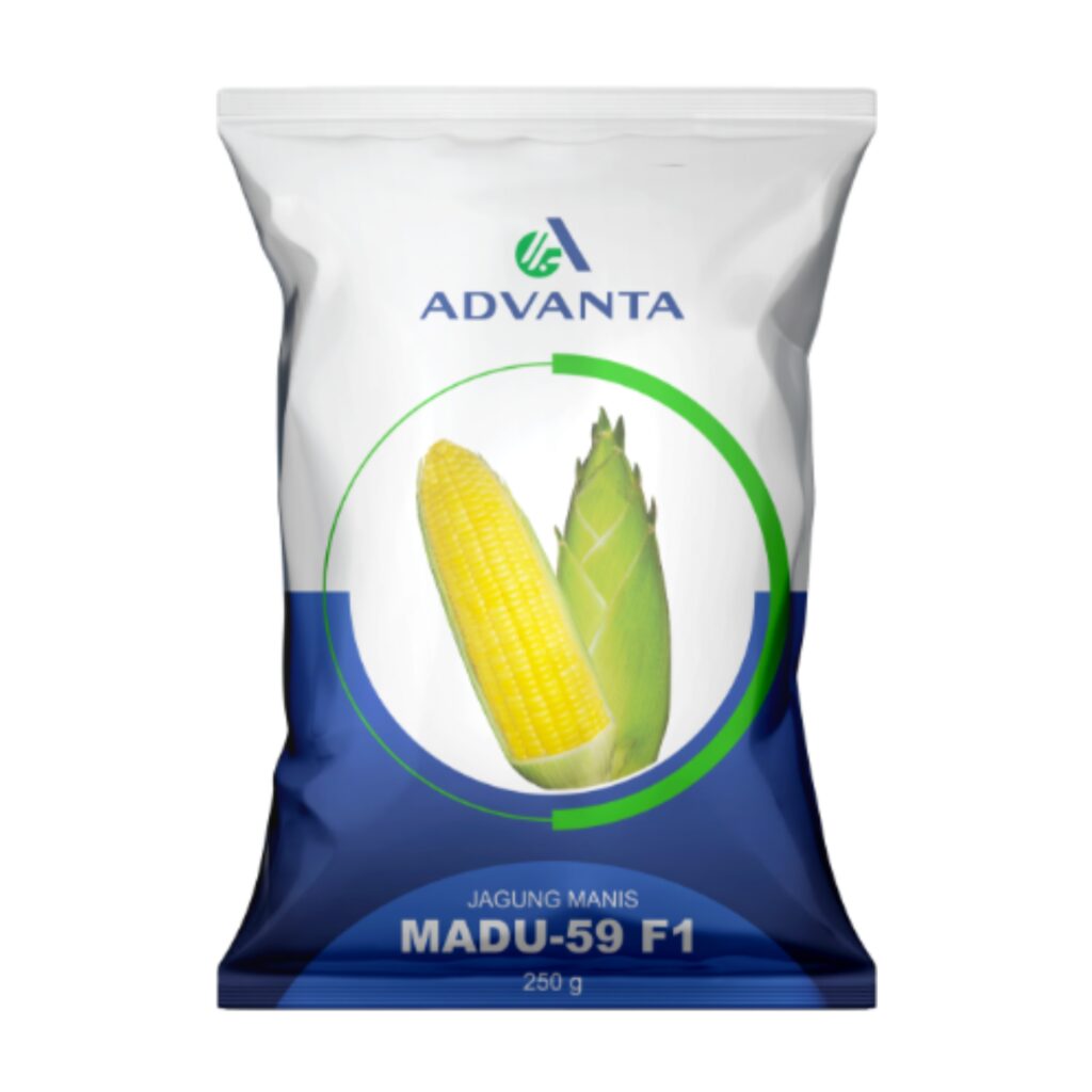 Jual Benih Bibit Jagung Manis Madu 59 F1 250gr Biji Kuning Hibrida ...